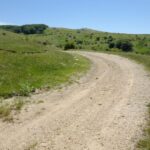 Cesarò: Full Day Tour of Nebrodi Park in a 4x4 - An In-Depth Look at the Nebrodi Park Tour