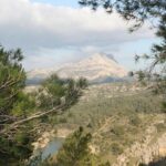 Cézanne Pathway : Wine and Art in Majestic Aix en Provence - Lunch in Puyloubier: Rest and Recharge