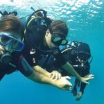 Chalkidiki: Scuba Diving for Beginners in Kassandra - The Itinerary: What to Expect