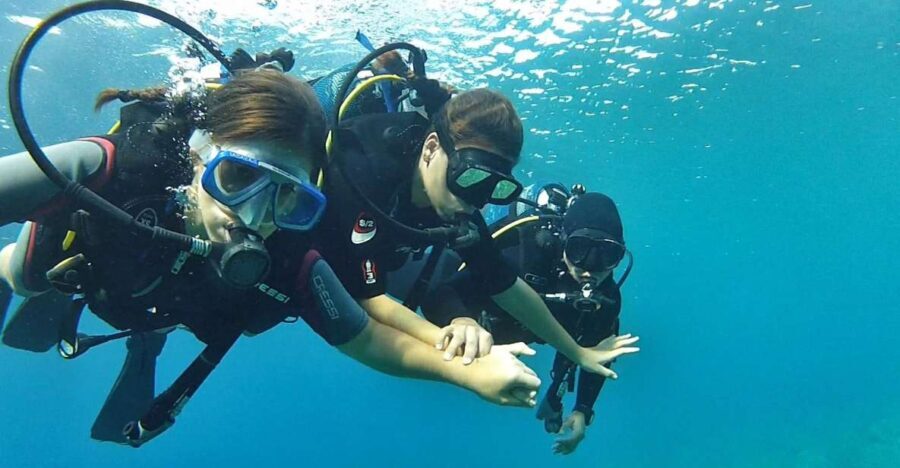 Chalkidiki: Scuba Diving for Beginners in Kassandra - The Itinerary: What to Expect