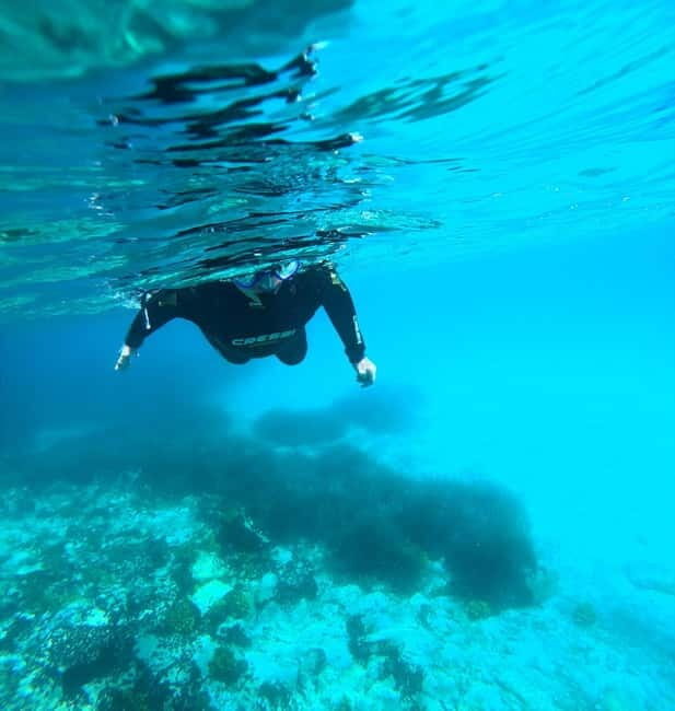 Chalkidiki: Snorkeling Adventure in Sithonia - Who Should Consider This Tour?