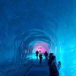 Chamonix Mont Blanc Shared Day Trip Excursion - Who Will Love This Tour
