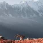 Chamonix: Mountain Photography Workshop at Lac Blanc - Is It Worth the Price?