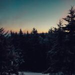 Chamonix: Snowshoeing with Local Cheese & Wine Tasting - The Scenic Stops and Tastings