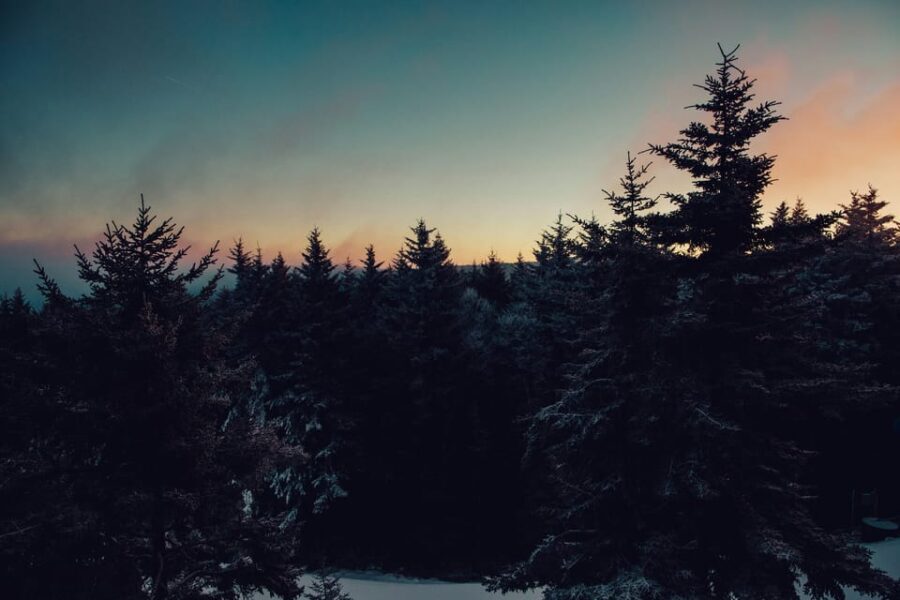 Chamonix: Snowshoeing with Local Cheese & Wine Tasting - The Scenic Stops and Tastings