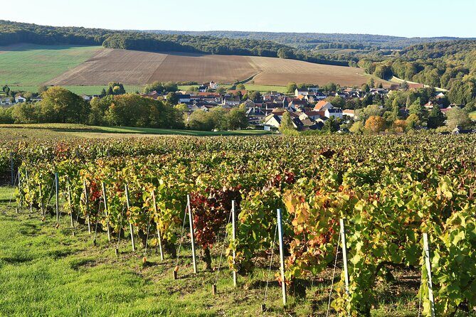 Champagne Guy De Chassey: Traditional Tour & Tasting - Tasting Three Traditional Cuvées
