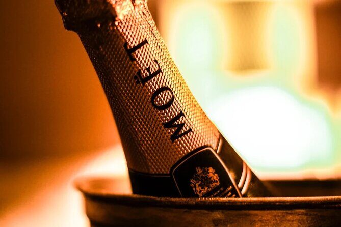 Champagne Region excursion from Paris with Private Driver - Who Will Love This Tour?