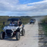 Champagne vineyards: 2-hour guided tour of the vineyards in a Buggy - An In-Depth Look at the Champagne Vineyards Buggy Tour