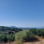 Chania: 5-Wine Tasting with Locals in Village near Kissamos - Why It Works for Different Travelers