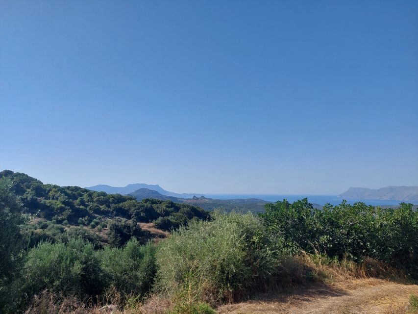 Chania: 5-Wine Tasting with Locals in Village near Kissamos - Why It Works for Different Travelers