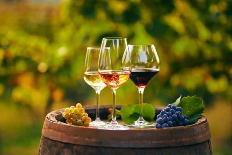 Chania Area: Food Tasting Tour with Winery Visit & Swim Stop - An In-Depth Look at the Tour Experience