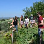 Chania: Authentic Cooking Class in the White Mountains - The Value and Practicalities