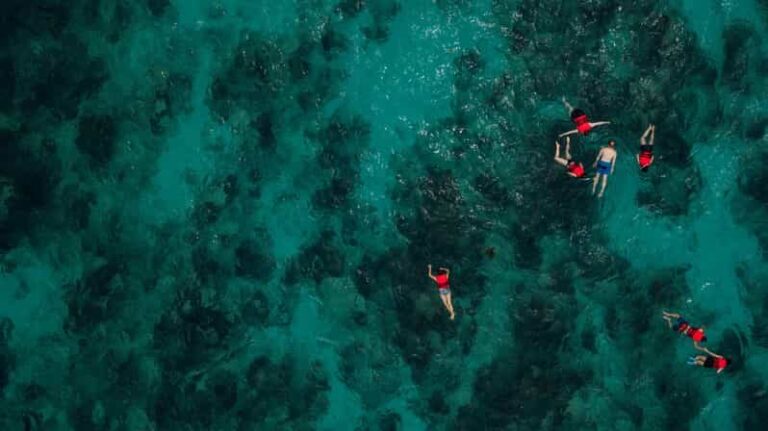Chania: Boat Trip with Guided Snorkeling Tour - Who Will Love This Experience?