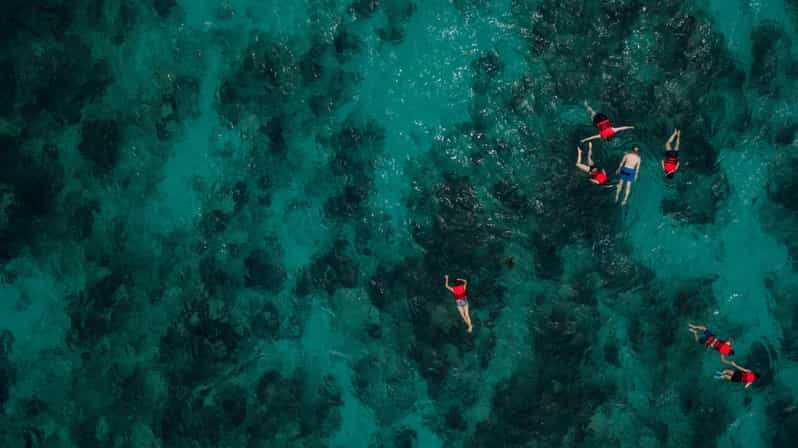 Chania: Boat Trip with Guided Snorkeling Tour - Who Will Love This Experience?
