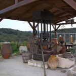 Chania: Cretan Wine, Olive Oil & Cooking Workshop - What Makes This Tour Stand Out?