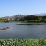 Chania Ebike Eco-Long Tour with Traditional Snack - What’s Included and What You Need to Know