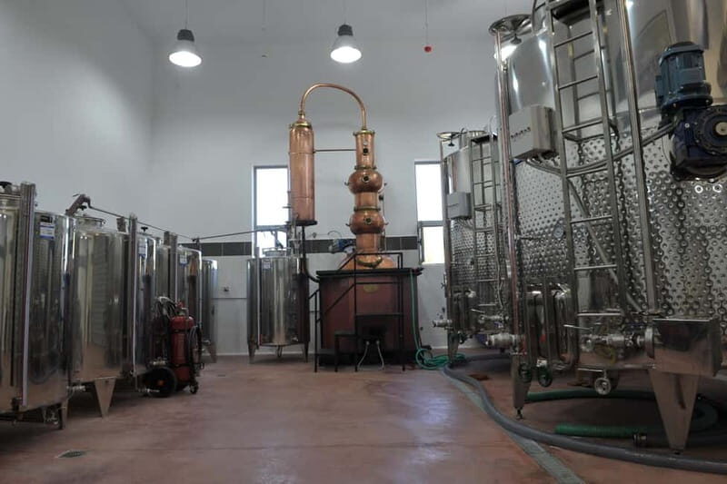Chania: Full-Day Vineyard & Winery Private Tour w/ Tastings - Transport and Logistics