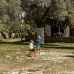 Chania Luxuries: Secrets of Wine and Olive Oil Tastings - The Practicalities and Value