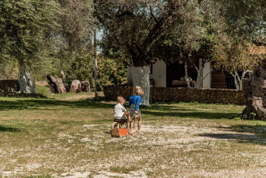 Chania Luxuries: Secrets of Wine and Olive Oil Tastings - The Practicalities and Value
