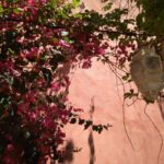 Chania Old Town: Artisans & Sightseeing Walking Tour - What To Expect in Terms of Value
