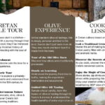 Chania: Olive Oil Tasting & Cooking Class at Metohi Istoria - Olive Oil Tasting—From Tree to Table