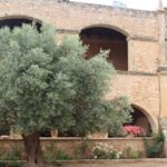 Chania Private Olive Oil Tour: Oil Tasting & Villages Tour - What You Can Expect at Each Stage