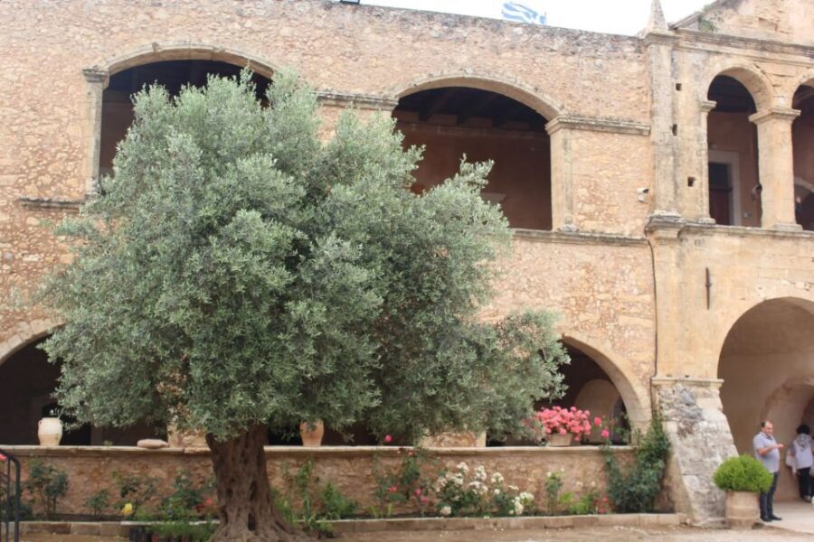 Chania Private Olive Oil Tour: Oil Tasting & Villages Tour - What You Can Expect at Each Stage