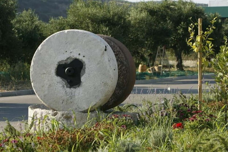 Chania: Pure Cretan Olive Oil, Wine, & Beer Experience - The Vineyard Experience: Savoring Cretan and International Wines