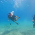 Chania: Scuba Diving and Snorkeling for Beginners by Boat - The Itinerary in Detail