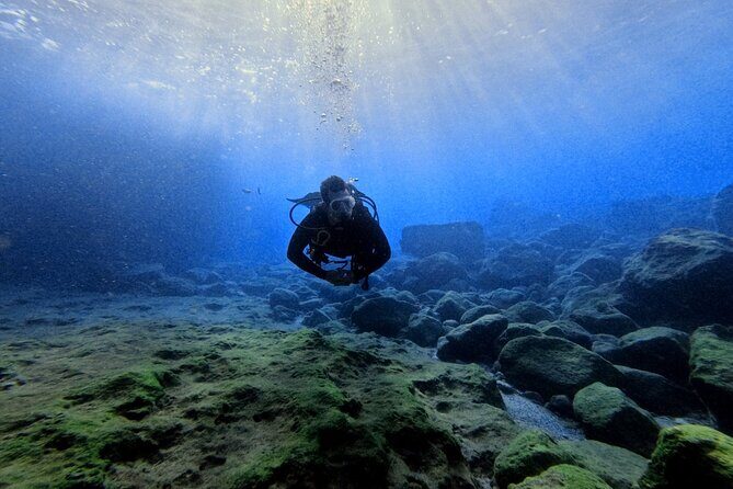 Chania Scuba Diving | Fun Dives | Certified Divers - What You Can Expect from This Guided Underwater Tour