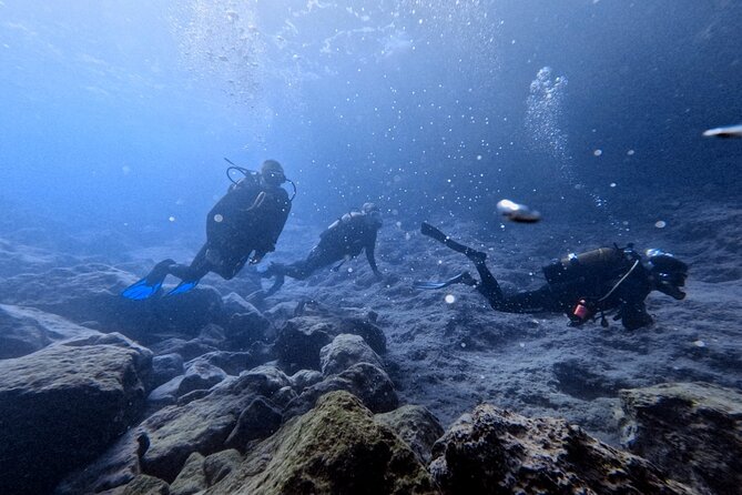 Chania | Try Scuba Diving | Private Introduction Dive - Key Points