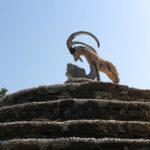 Chania White Mountains Private Tour: From Sea to Summit - Key Points