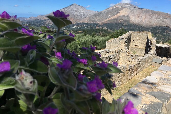 Chania White Mountains Private Tour: From Sea to Summit! - Key Points