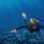 Chania:Try Scuba Diving 2shore dives(Receive Certification) - Authentic Reviews from Participants