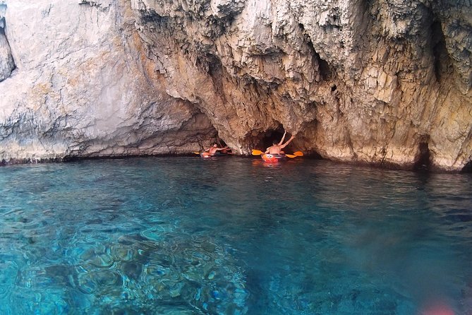 Chasing Syrens Transparent Kayak Winter Tours - An In-Depth Look at the Experience