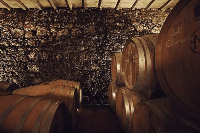Château Arton Guided Tour and Armagnac Tasting - Why the Tasting Packs a Punch