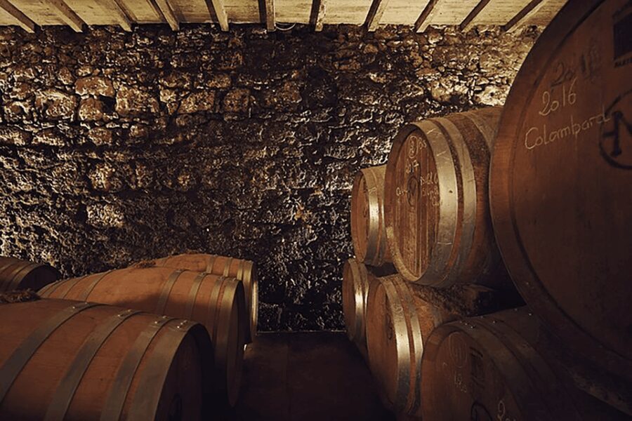 Château Arton Guided Tour and Armagnac Tasting - Why the Tasting Packs a Punch