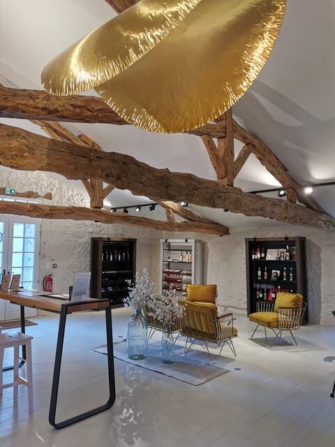 Château Arton : The Secrets of Haut-Armagnac Experience - Vineyard Tour and Grape Varieties