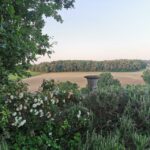 Château Arton Vineyard Tour and Tasting - Is Château Arton Right for You?