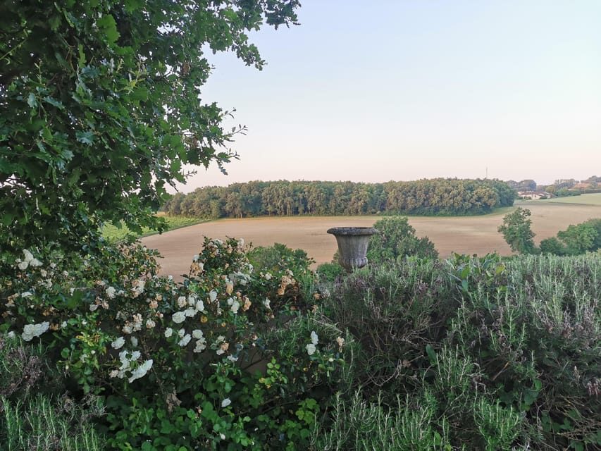 Château Arton Vineyard Tour and Tasting - Is Château Arton Right for You?