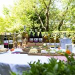 Château de Luc: Unique visit and wine tasting - Who Should Consider This Tour?