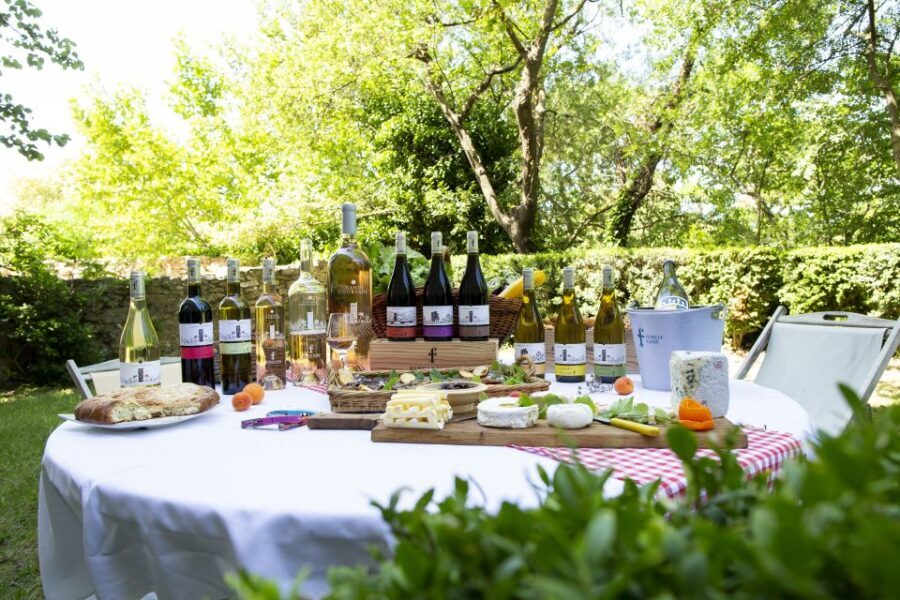Château de Luc: Unique visit and wine tasting - Who Should Consider This Tour?