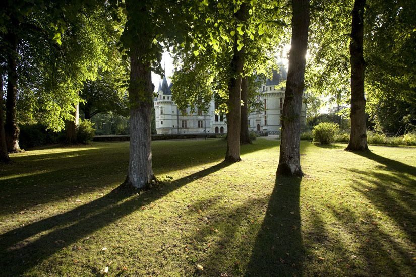 Château of Azay-le-Rideau entrance Ticket - Who Will Love This Experience?
