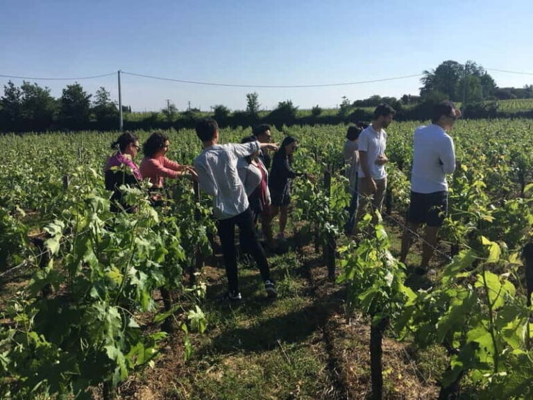 Château St-Emilion Grand Cru visit and Grand Cru and Pomerol tasting - Exploring the Cellar and Winemaking Process