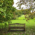 Chawton: village tour to discover its ties to Jane Austen - The Value of This Experience
