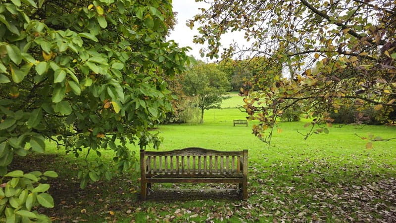 Chawton: village tour to discover its ties to Jane Austen - The Value of This Experience
