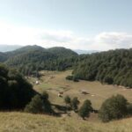 Cheese farm tour in the katun - Who Is This Tour Perfect For?