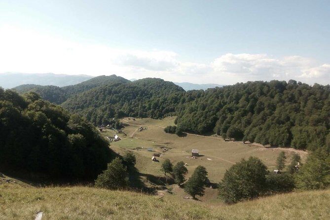Cheese farm tour in the katun - Who Is This Tour Perfect For?
