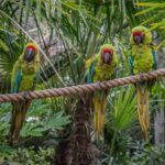 Chester: Chester Zoo Entry Ticket - Who Should Visit Chester Zoo?
