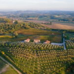 Chianciano Terme: Guided Winery Tour & Wine Tasting - The Guided Tour: Personal and Informative
